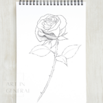 How To Draw A Rose – A Step-by-Step Art Tutorial – Art In General