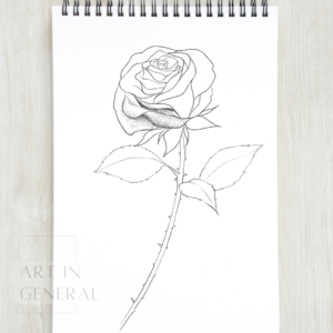 How To Draw A Rose – A Step-by-Step Art Tutorial – Art In General
