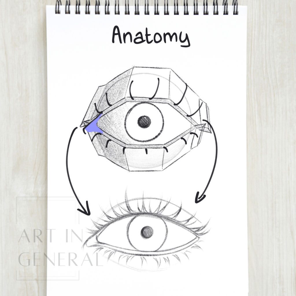 How To Draw Eyes Step-by-Step – Art In General