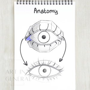 How To Draw Eyes Step-by-Step – Art In General