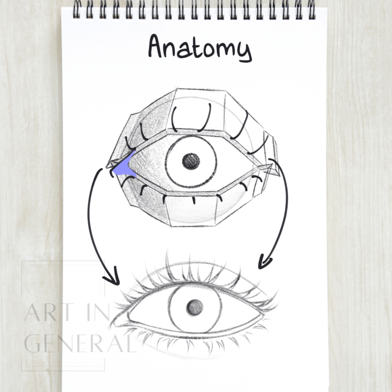 How To Draw Eyes Step-by-Step – Art In General