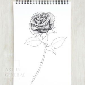 How To Draw A Rose – A Step-by-Step Art Tutorial – Art In General