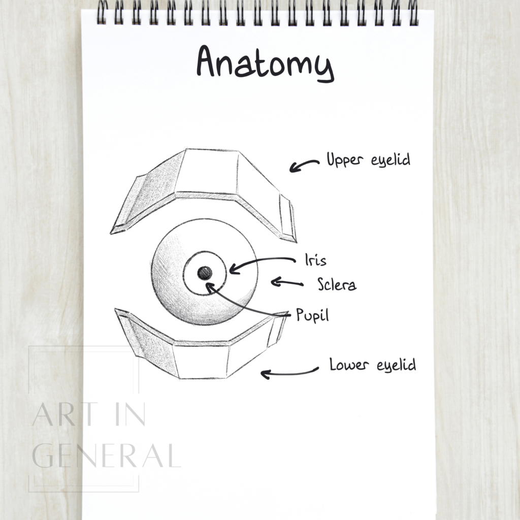 How To Draw Eyes Step-by-Step – Art In General