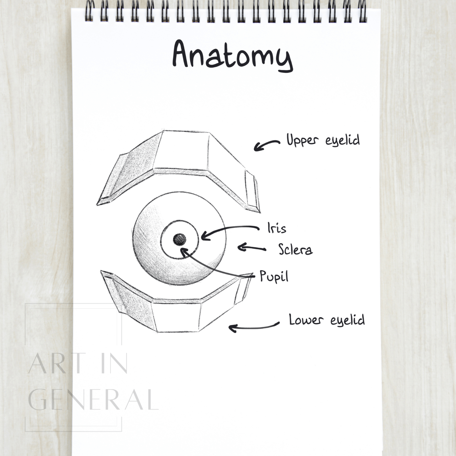 How To Draw Eyes Step-by-Step – Art In General