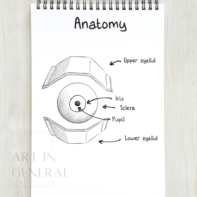 How To Draw Eyes Step-by-Step – Art In General