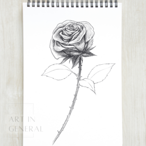 How To Draw A Rose – A Step-by-Step Art Tutorial – Art In General