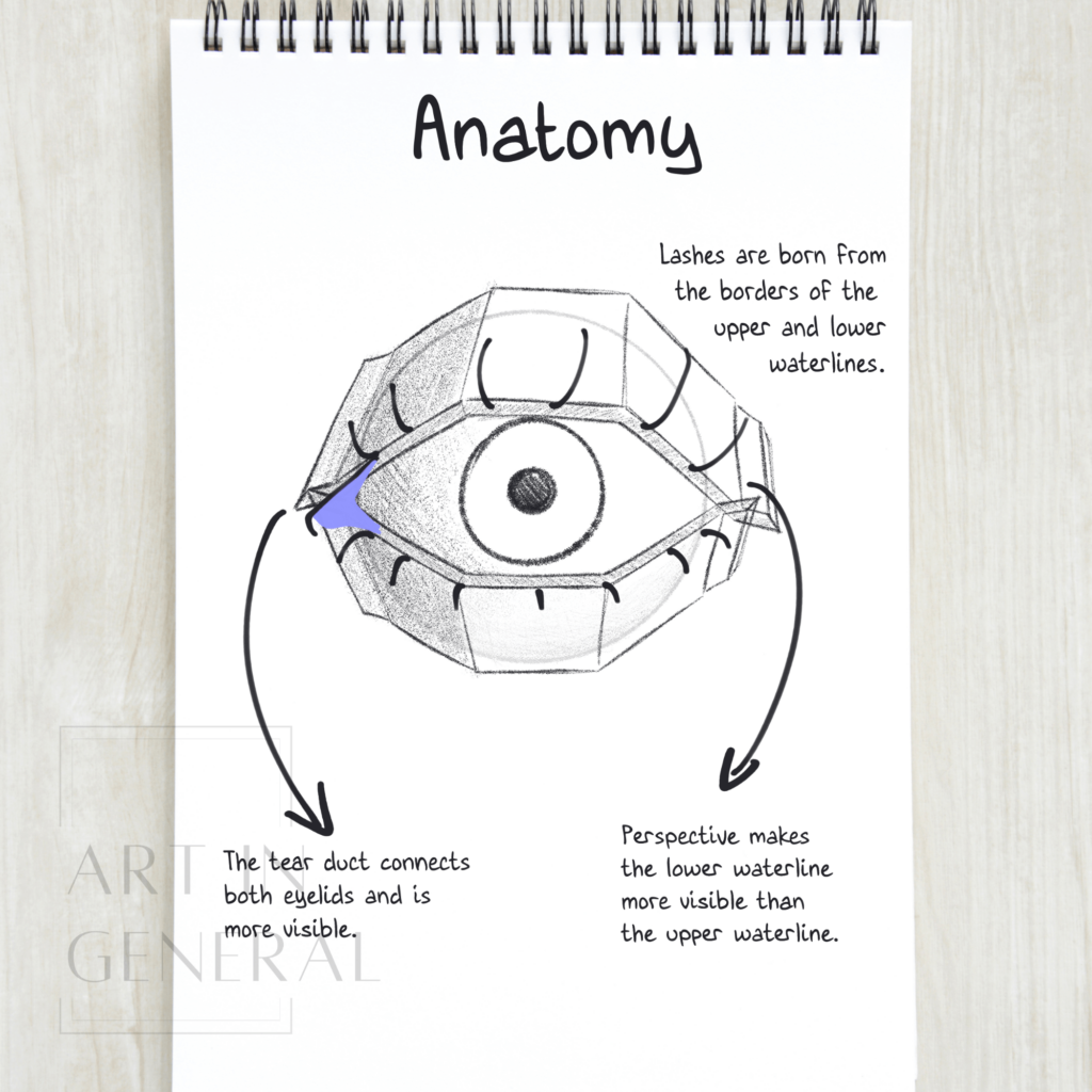 How To Draw Eyes Step-by-Step – Art In General