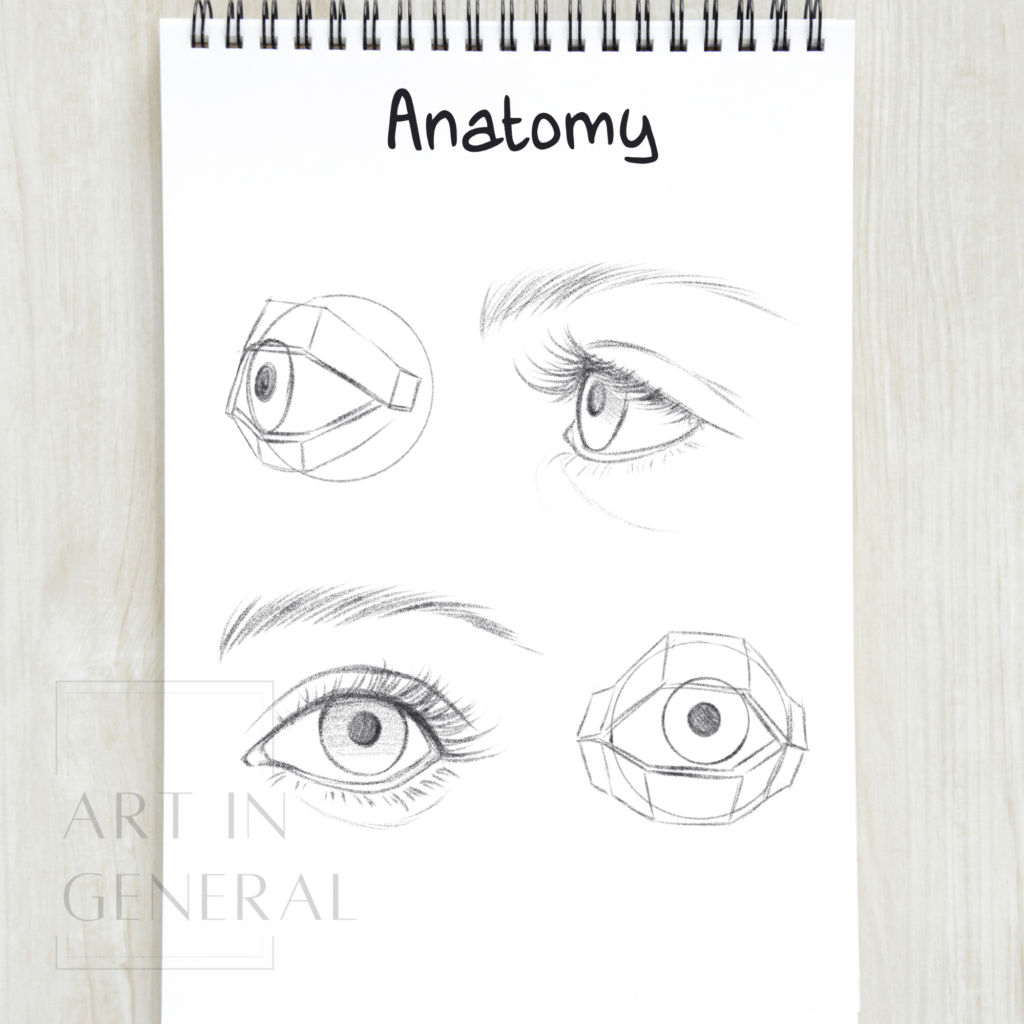 How To Draw Eyes Step-by-Step – Art In General