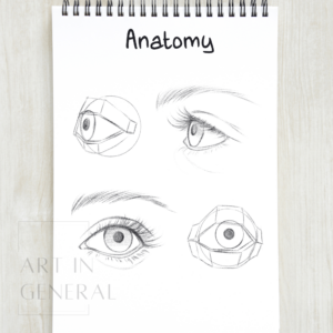 How To Draw Eyes Step-by-Step – Art In General