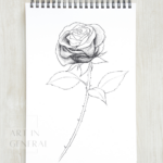 How To Draw A Rose – A Step-by-Step Art Tutorial – Art In General