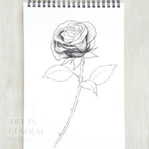 How To Draw A Rose – A Step-by-Step Art Tutorial – Art In General