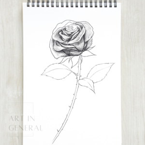 How To Draw A Rose – A Step-by-Step Art Tutorial – Art In General