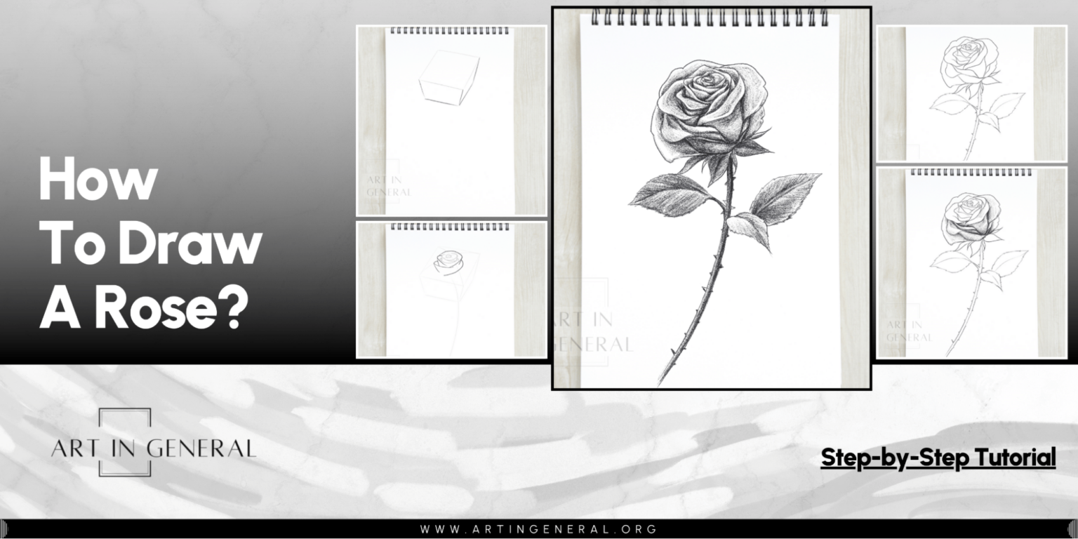 How To Draw A Rose – A Step-by-Step Art Tutorial – Art In General
