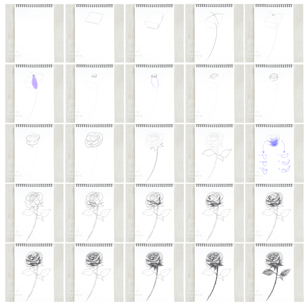 How To Draw A Rose – A Step-by-Step Art Tutorial – Art In General